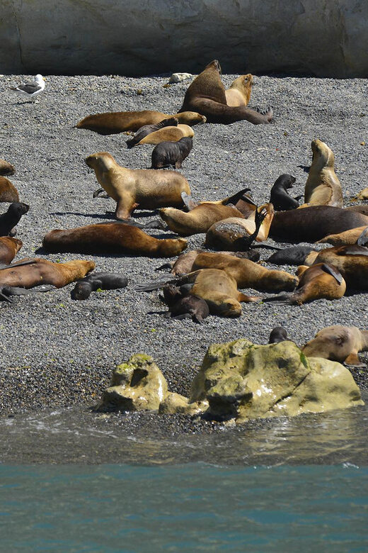 Punta Loma Shore Excursion with City tour - Key Points