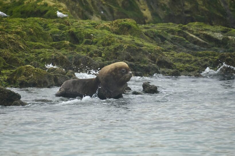 Punta Loma Shore Excursion with City tour - A Deep Dive into the Tour Experience