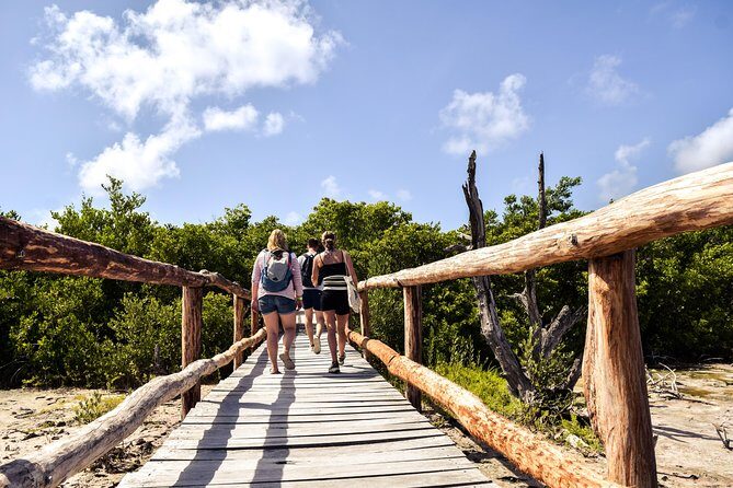 Punta Sur Eco Beach Park Electric Bike Tour in Cozumel - An In-Depth Look at the Punta Sur Eco Beach Park Electric Bike Tour