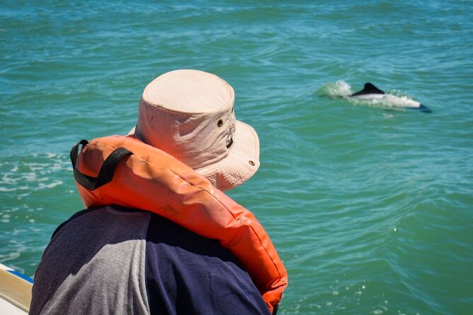 Punta Tombo Penguin Colony From Puerto Madryn With Optional Toninas Watching - Maximizing the Experience