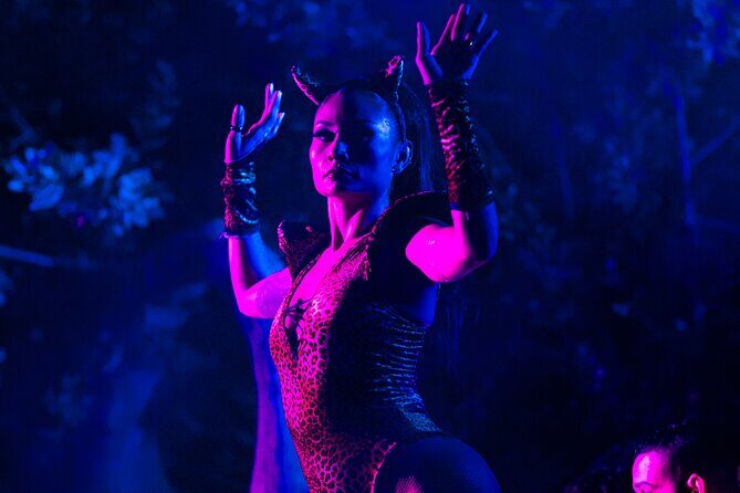 PuntaCana Cenote Party at Maroca  Open Bar + Skip the Line - Deep Dive into the Itinerary