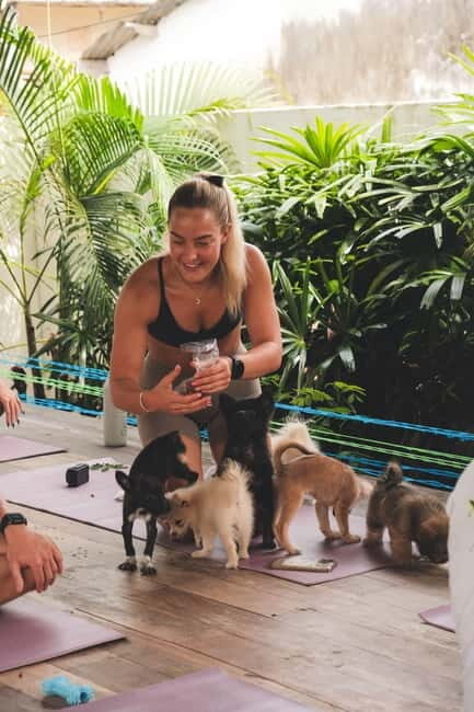 Puppy Yoga in Bali, Canggu  #1 Thing to Do in Bali - Final Thoughts: Who Will Love Puppy Yoga in Bali?