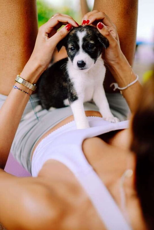 Puppy Yoga in Bali, Ubud  #1 Thing to Do in Bali - The Venue and Setting