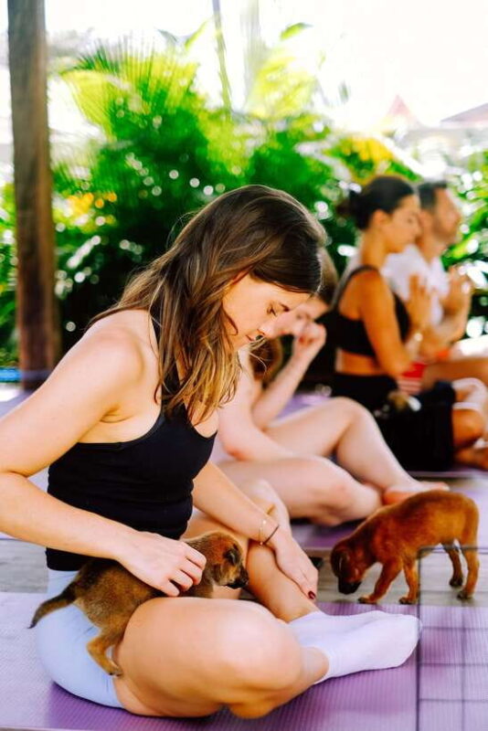 Puppy Yoga in Bali, Ubud  #1 Thing to Do in Bali - The Yoga Experience