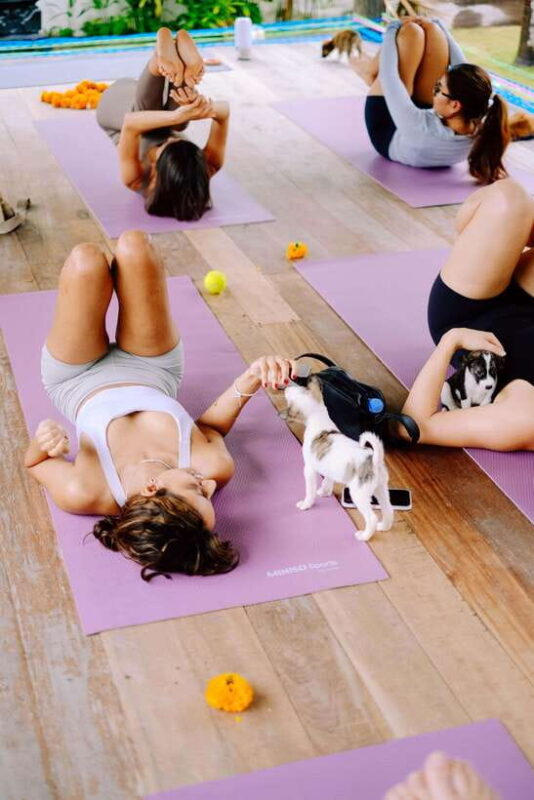 Puppy Yoga in Bali, Ubud  #1 Thing to Do in Bali - Practical Details and Value