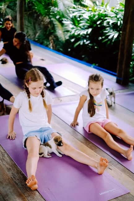 Puppy Yoga in Bali, Ubud & Uluwatu  #1 Thing to Do in Bali - What is Puppy Yoga in Bali?
