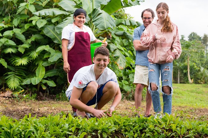 Pura Vida Cooking Class in La Fortuna (From Farm to Table) - Exploring the Farm and Gathering Ingredients