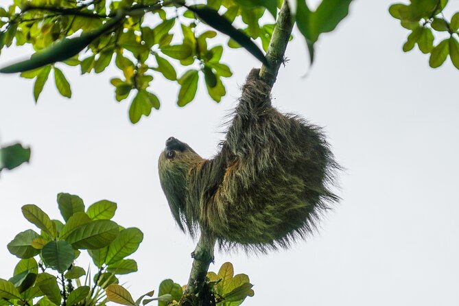 Pure Nature Safari River Float - Itinerary and Experience