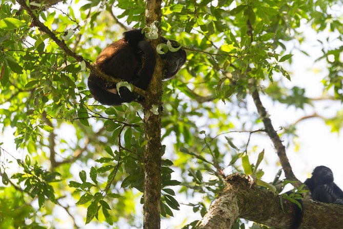 Pure Nature Safari River Float - Logistics and Pickup