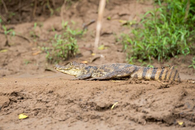 Pure Nature Safari River Float - Local Cuisine