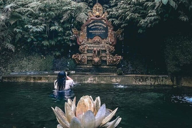 Purification Ceremony, Kehen Temple and Goa Raja Waterfall Tour - Who This Tour Is Perfect For