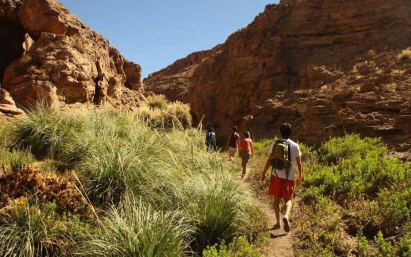 Purilibre: Trekking with Ancient Cacti and Medicinal Waters - What to Expect at the Thermal Springs