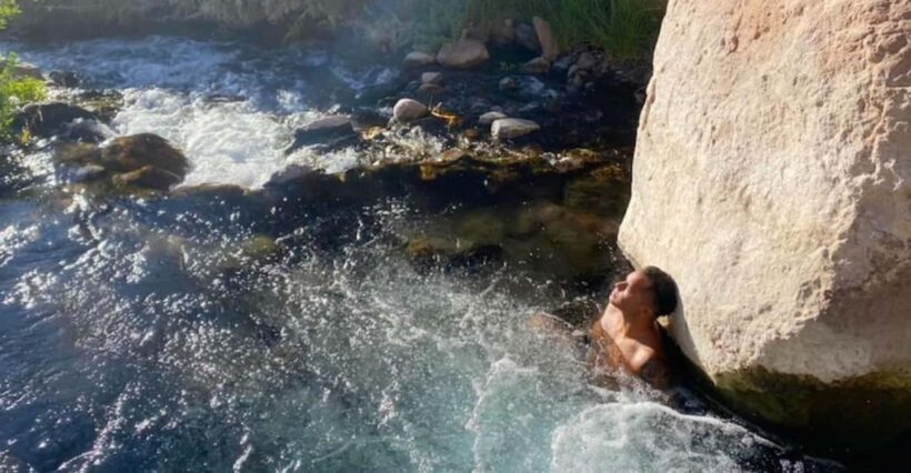 Purilibre: Trekking with Ancient Cacti and Medicinal Waters - Who Should Consider This Tour?