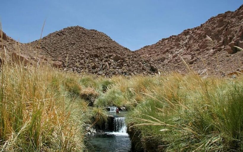 Puritama Hot Springs: Medicinal Thermal Experience - Authentic Reviews and Insights