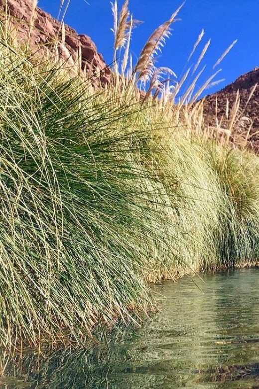 Puritama Hot Springs: Medicinal Thermal Experience - The Sum Up