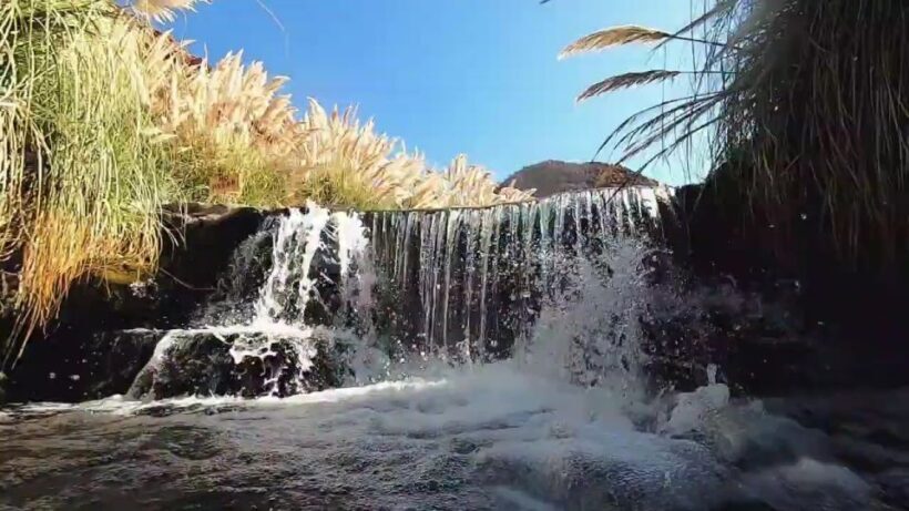 Puritama Hotsprings AM or PM - The Bottom Line: Is It Worth It?