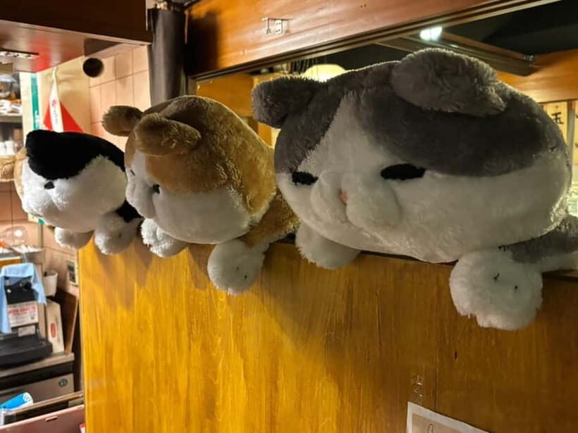 Purrrrfect Osaka Cook'n'eats - The Shop and Cat Goods Collection