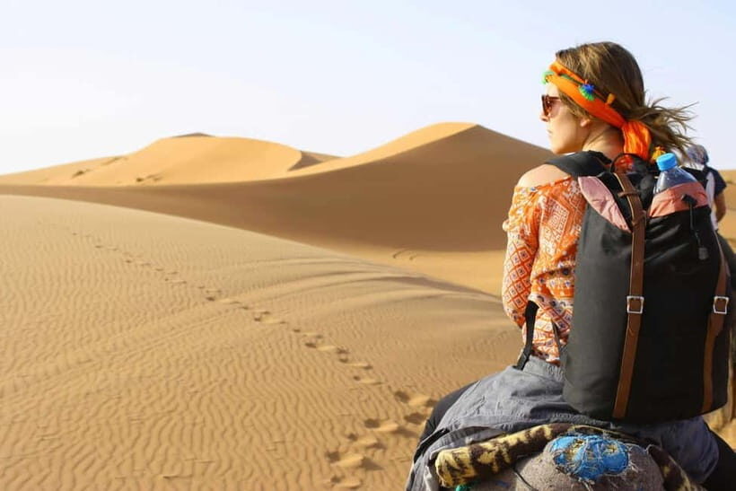 Pushkar: Camel Sunset Safari Adventure - What to Expect from the Pushkar Camel Sunset Safari