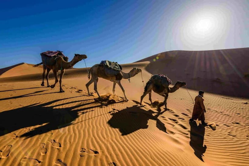 Pushkar: Camel Sunset Safari Adventure - What’s Included and What to Bring