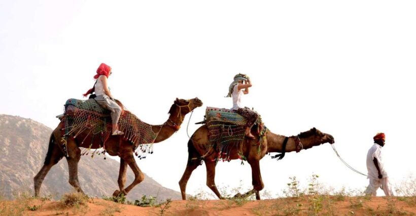 Pushkar Day Trip with Camel Safari From Jaipur By Car. - Introduction: Why Choose This Tour?