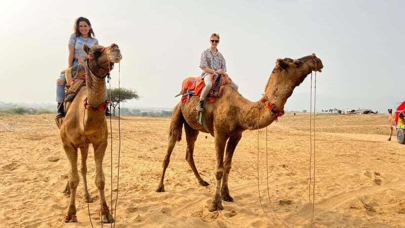 Pushkar Full Day Tour from Jaipur - The Practicalities: What to Expect and What Matters