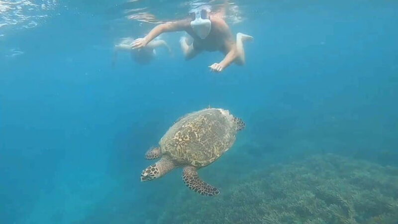 Pusuk Monkey Forest Lombok, Ghost Villa,and the Three Gilis - An In-Depth Look at the Tour Experience