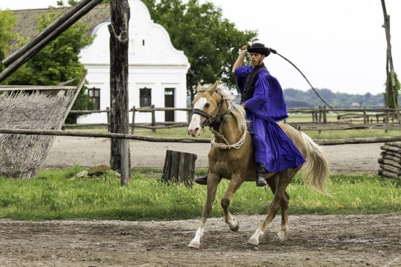 Puszta Tour and Horse Show - Who Will Love This Tour?