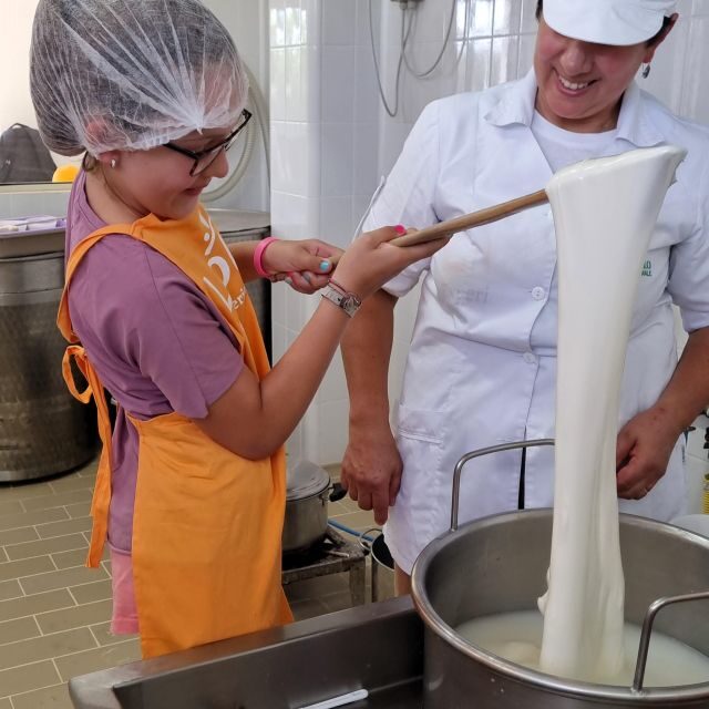 Putignano: Make and taste still warm mozzarella - Who Should Consider This Tour?