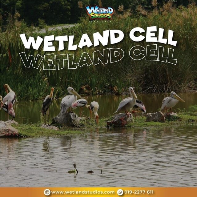 Putrajaya: Wetland Studios Admission Ticket - The Sum Up: Is It Worth Visiting?
