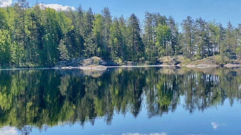 Puumala: Lake Saimaa Seal Watching Cruise - The Sum Up