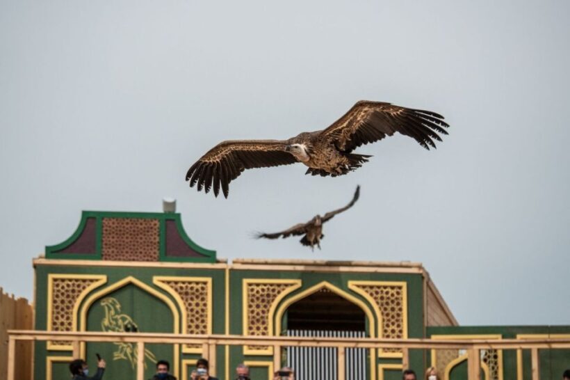 Puy du Fou España Entry Ticket - The Sum Up: Is It Worth It?