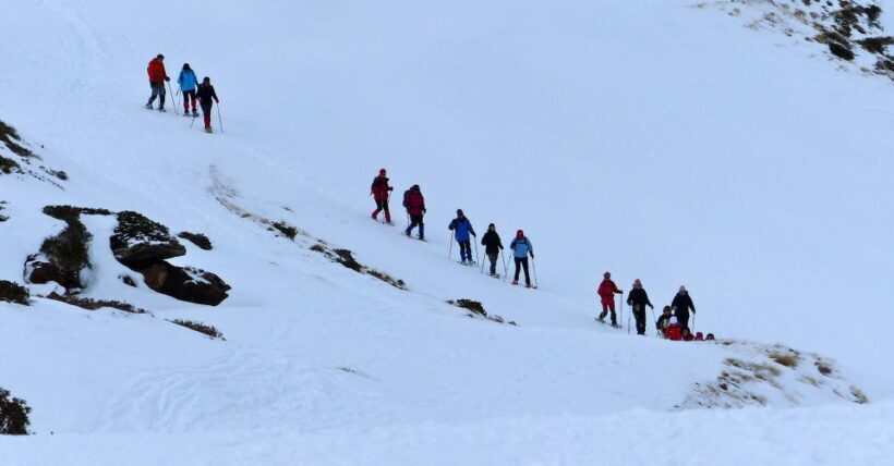 Pyrenees: A-day Hike with a Choice of 3 Levels - Who Is This Tour Best For?