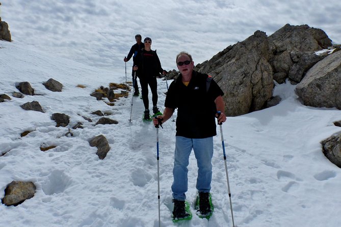 Pyrenees Hiking From Barcelona - Enjoying the Recommended Services and Equipment