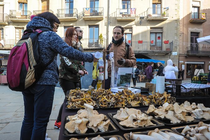 Pyrenees & Medieval Towns Small Group Tour from Barcelona - Who Will Love This Tour?