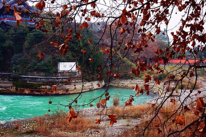 Qingcheng Mountain and Dujiangyan Irrigation Private Day Tour - A Thorough Look at the Tour Experience