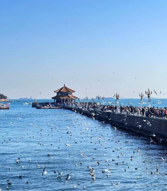 Qingdao Charm: History, Crafts, Offshore View & Night Market - A Complete Guide to Qingdao Charm