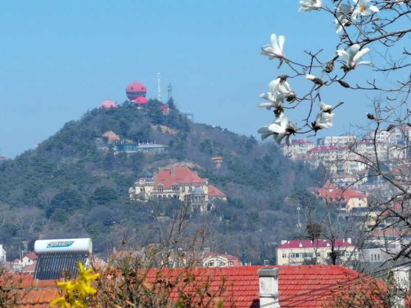 Qingdao: City Highlights and Tsingtao Beer Museum - Practical Details and What to Expect
