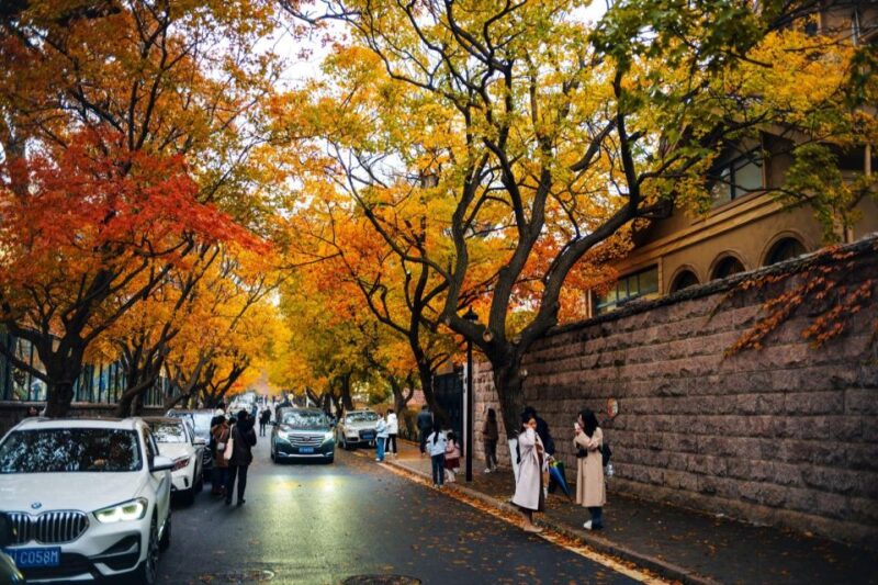 Qingdao: City Highlights and Tsingtao Beer Museum - The Sum Up