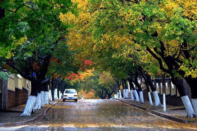 Qingdao Private Tour: City Highlights and Laoshan Mountain with Lunch+Cable Car - Final Thoughts