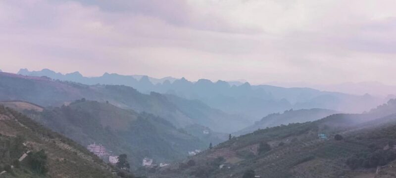 Qixianfeng Tea Plantation Tour in Yangshuo - Who This Tour is Best For