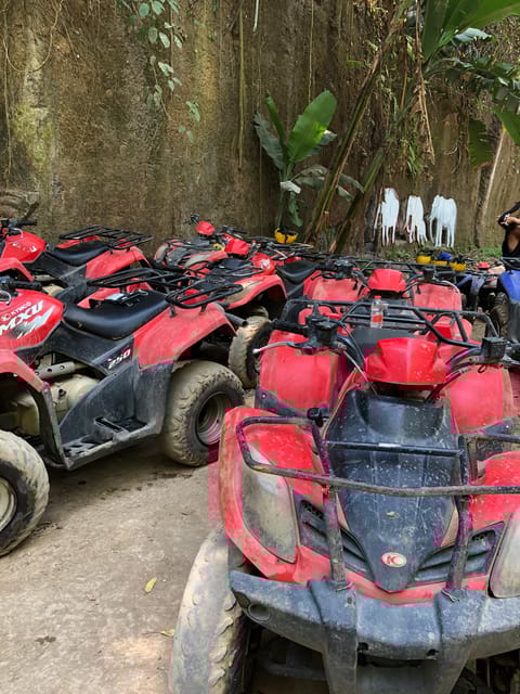 Quad atv tandem adventure ubud - Authentic Experiences and Traveler Feedback