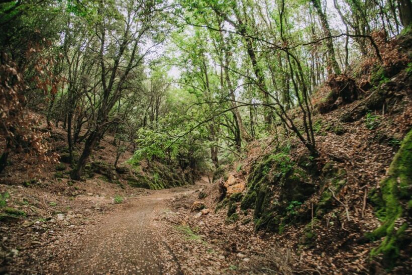 Quad bike excursion in the Gargano - Exploring the Gargano by Quad: An In-Depth Review