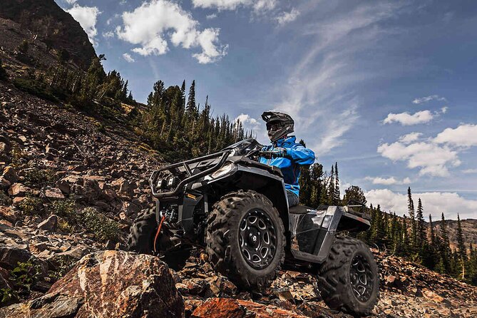 Quad Bike Safari in the Wilderness (ATV) - Authenticity and Value