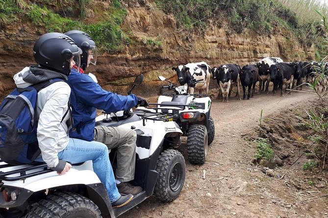 Quad Bike Tour - Sete Cidades From North Coast (Full Day) With Lunch - Meeting and Logistics