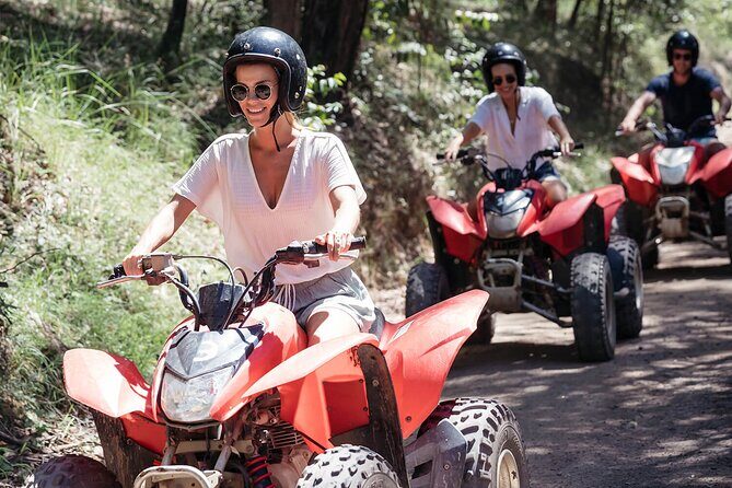 Quad Biking, Koalas and Kangaroos - Private Tour - A Practical Look at the Quad Biking, Koalas, and Kangaroos Private Tour