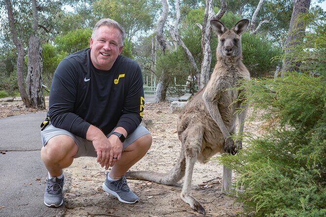 Quad Biking, Koalas and Kangaroos - Private Tour - The Sum Up
