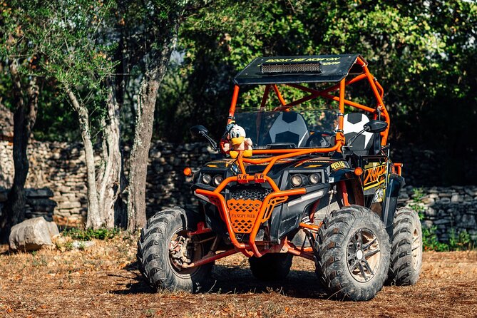Quad Buggy Excursion Tour - Tour Experience and Flexibility