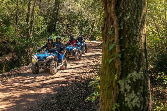 Quad Excursion in the Maremma With Barbecue in the Woods - The Scenic Routes: Highlights and Features