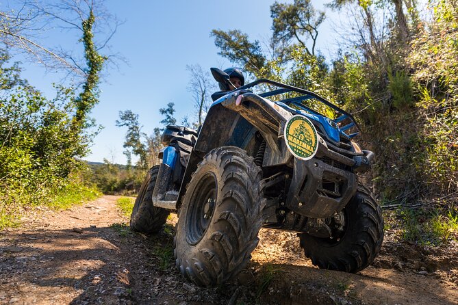 Quad Excursion in the Maremma With Barbecue in the Woods - Delving Into the Barbecue Experience in the Woods