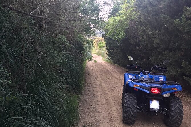 Quad excursions in the heart of Sicily - Who Will Love This Tour?